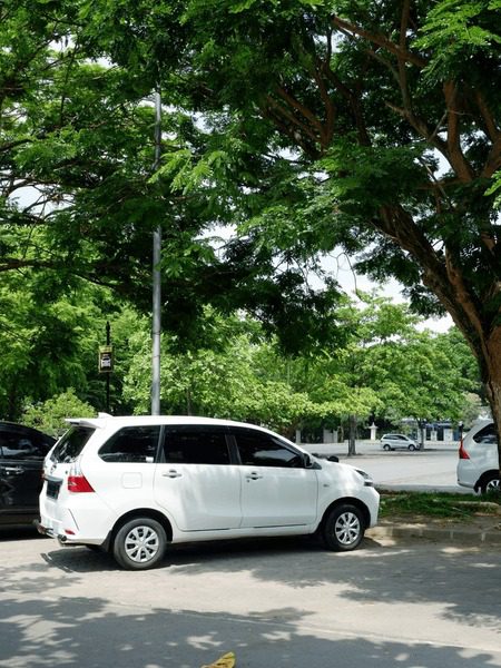 Cómo Proteger A Tu Auto Del Sol: Estrategias Efectivas