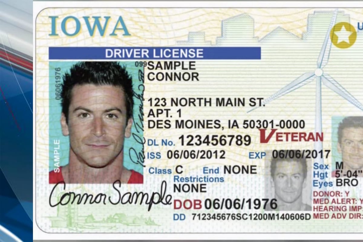 Requisitos Para Obtener El Carnet De Conducir: Todo Lo Que Necesitas Saber