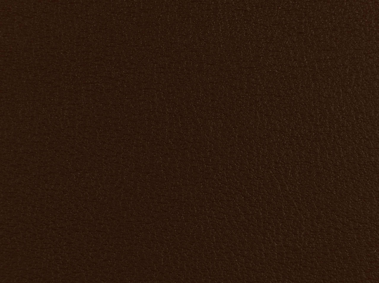 Qué Colores Combinan Con El Color Café En Decoración