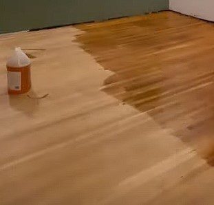 Cómo Saber Si Se Ha Roto El Cárter