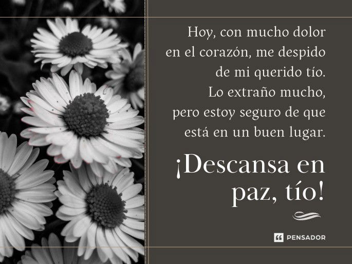 Qué Frases Dedicar A Un Tío Que Ha Fallecido: Homenaje Sentido